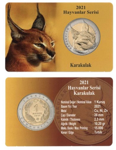 Turkey 1 Kurus Coin, 2021, N #284487, Mint, Commemorative, w/ Feline ...