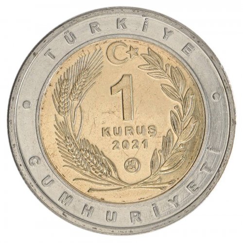 Turkey 1 Kurus Coin, 2021, N #284487, Mint, Commemorative, w/ Feline ...